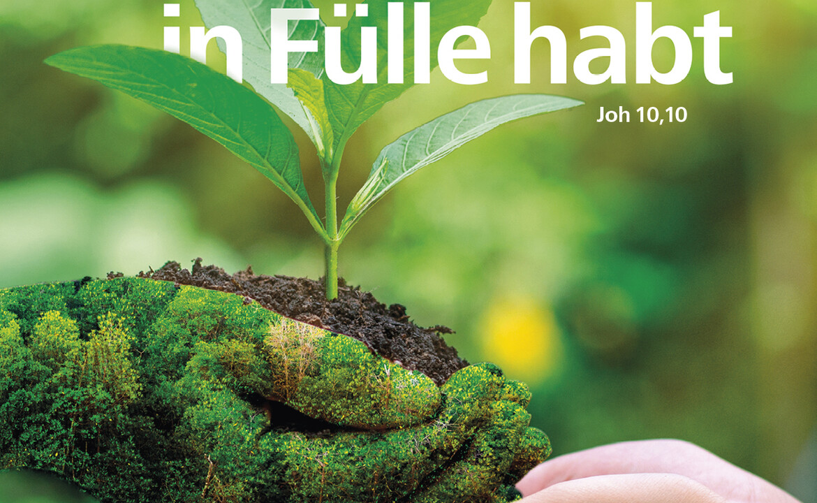 Ökumenischer Tag der Schöpfung wird deutschlandweit gefeiert - Franziskanisch